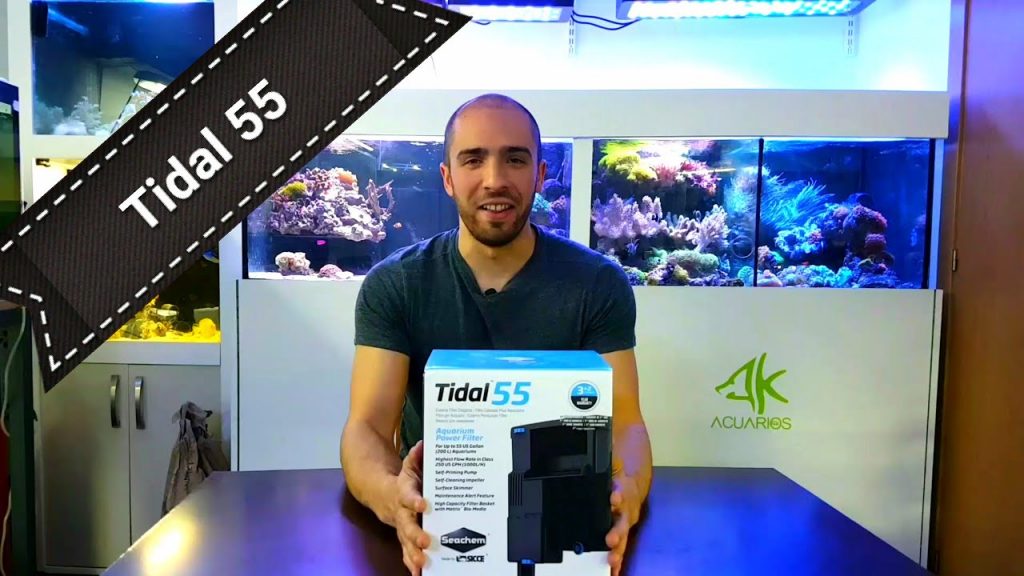 Seachem Tidal 55 review - Acuarios 4K